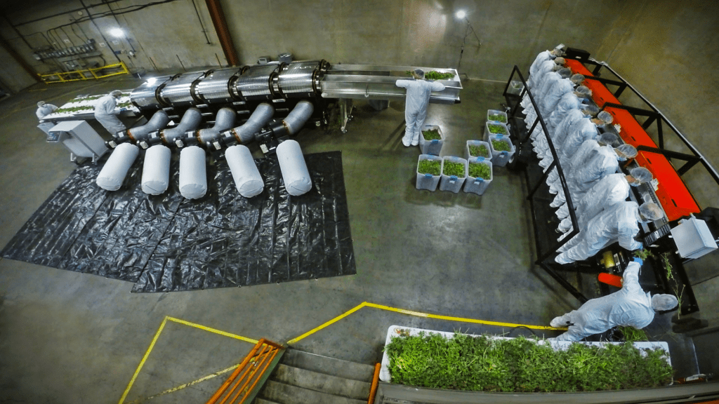 CenturionPro XL 5.0 Trimmers - Industrial Hemp & Cannabis Solutions