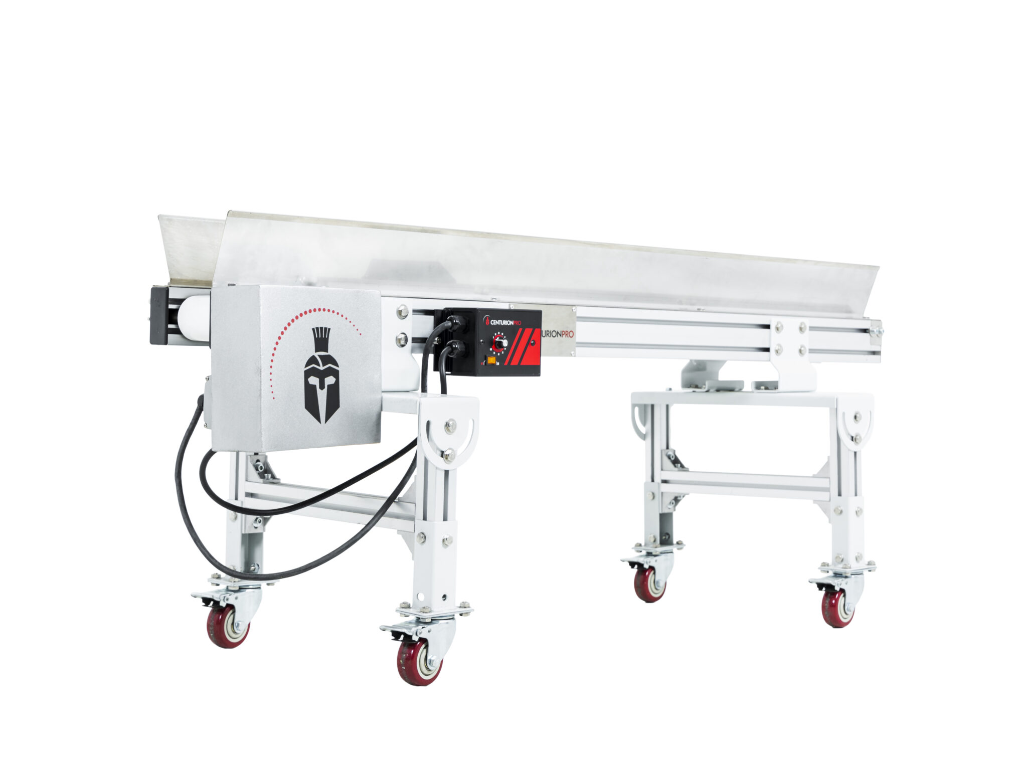 Mini - Infeed Conveyor - CenturionPro Solutions